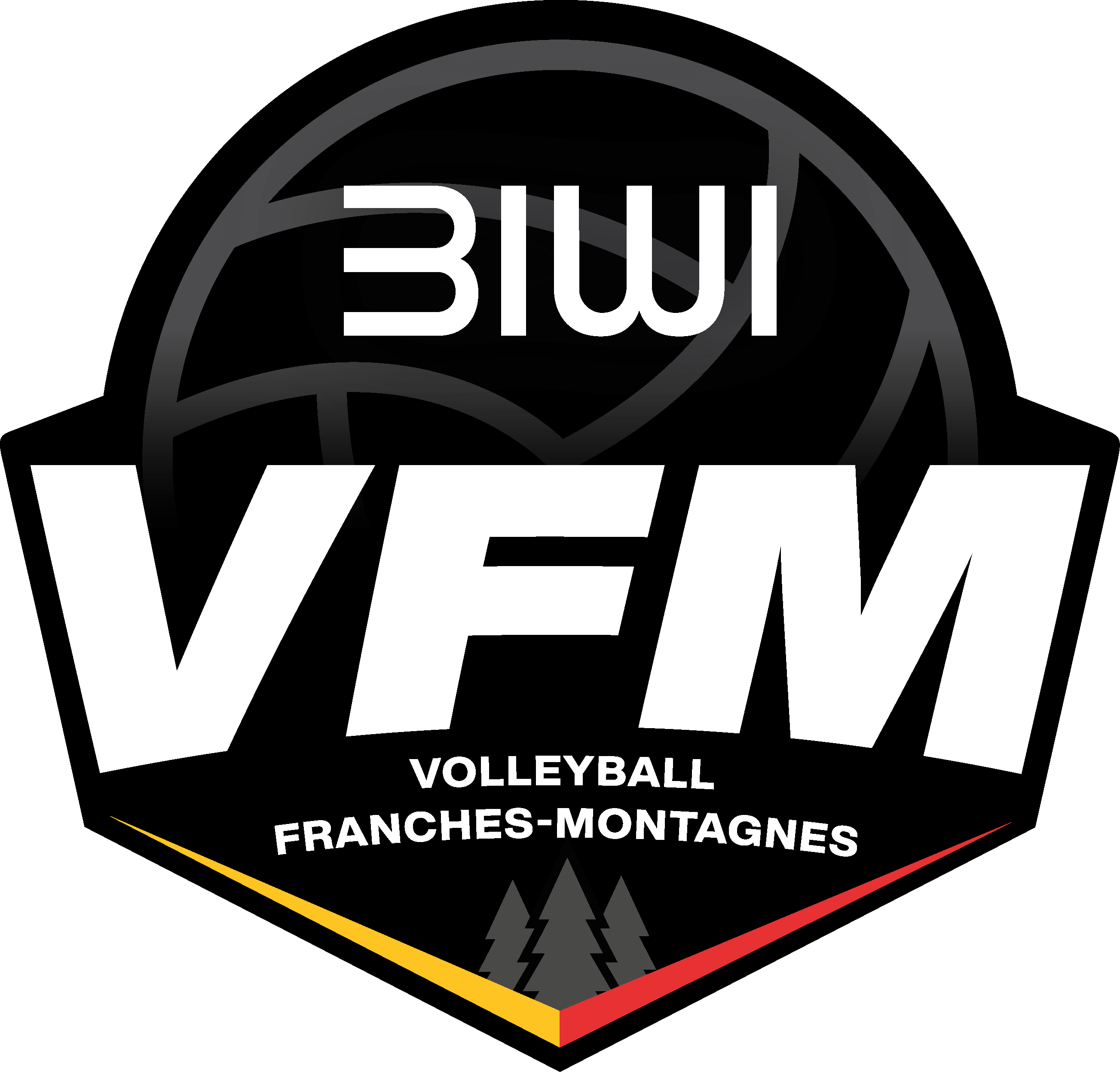 Equipes-VFM - Volleyball Franches-Montagnes | Hôtel Cristal VFM